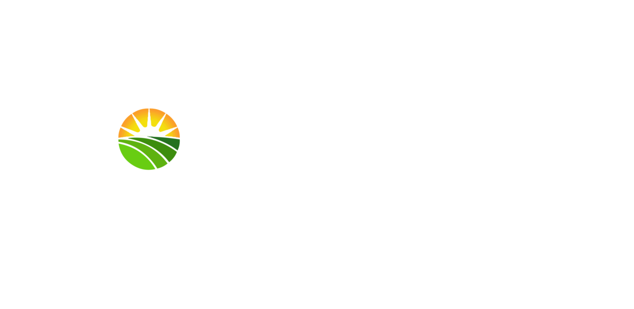 Meet Sean - Sean Loloee